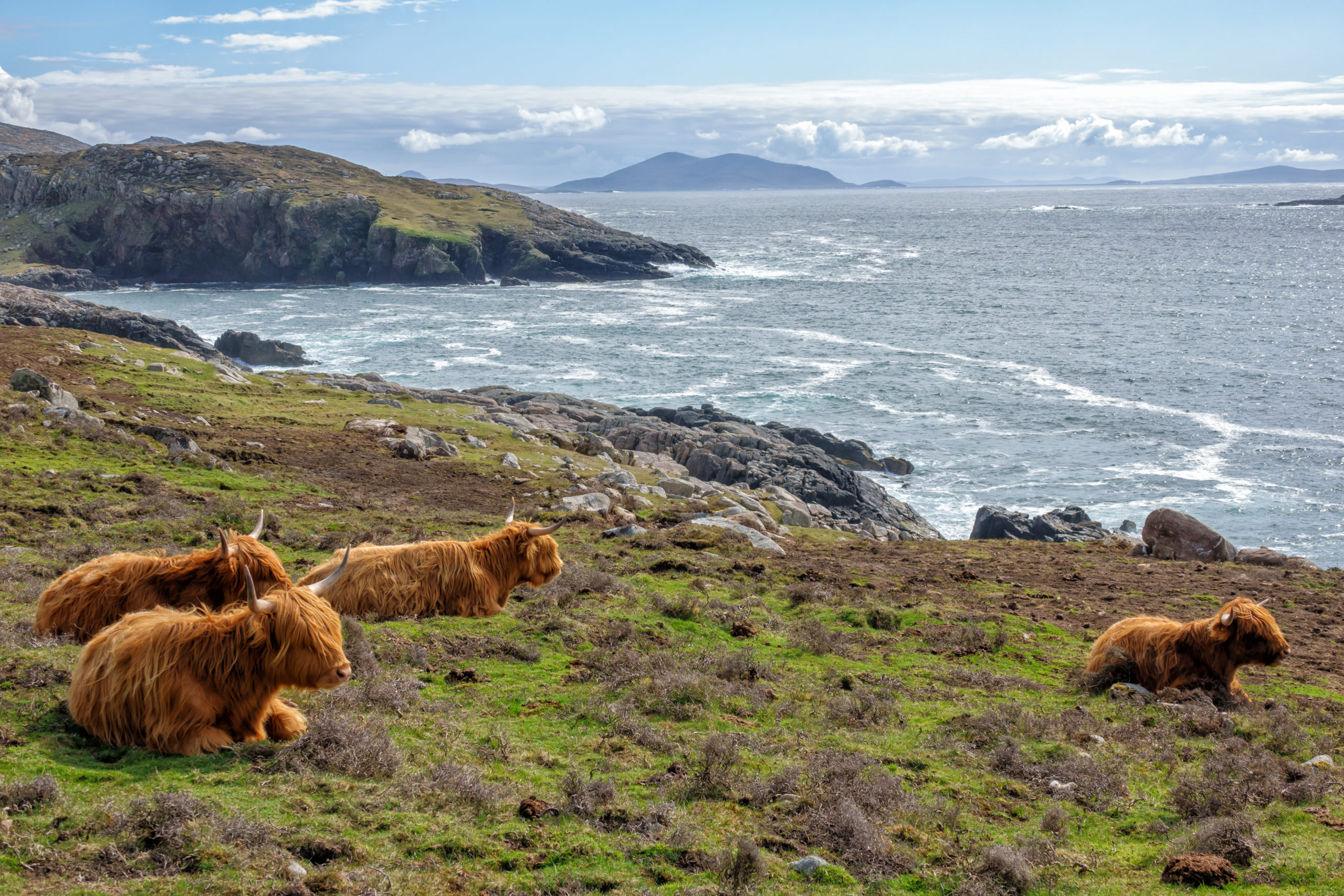 Scotland | Cookson Adventures