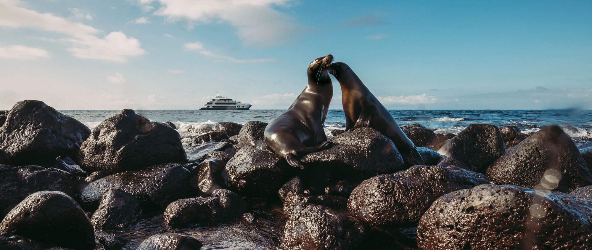 Galápagos by yacht: a conservation journey | Cookson Adventures